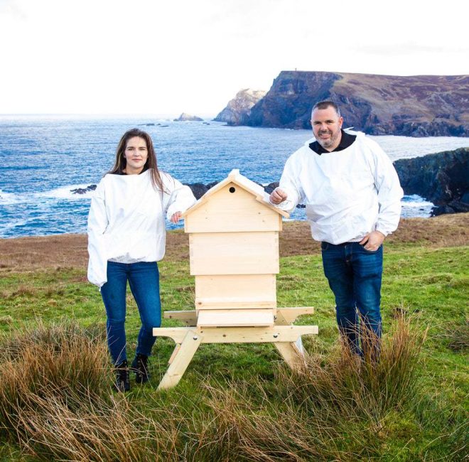 Donegal Bees hoping to create a buzz around beekeeping - Donegal News
