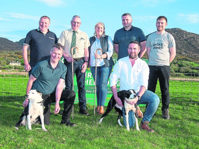 Donegal venue hosting Irish Sheepdog Trials - Donegal News